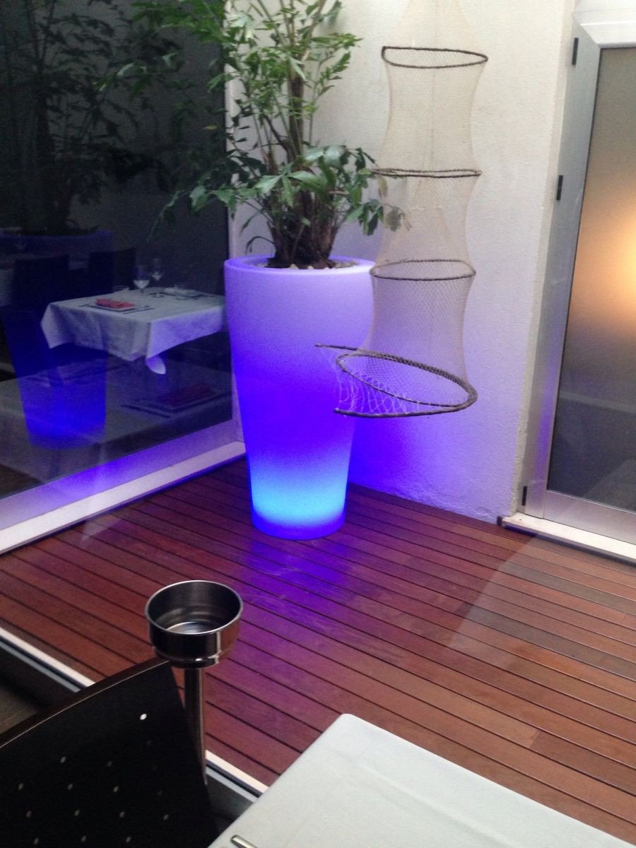 Nuestro local :: RESTAURANTE MORNELL en el Palmar (Albufera ...